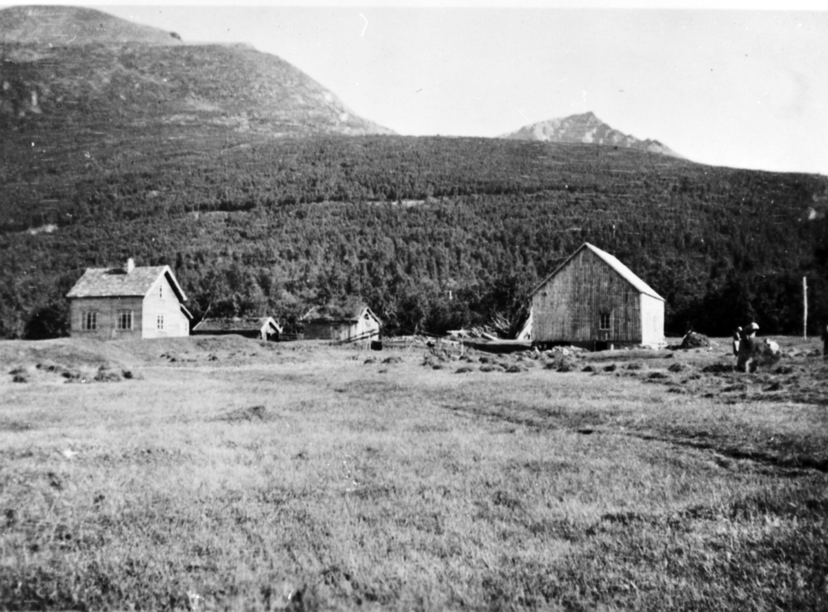 Bosted - Nord-Troms Museum / DigitaltMuseum