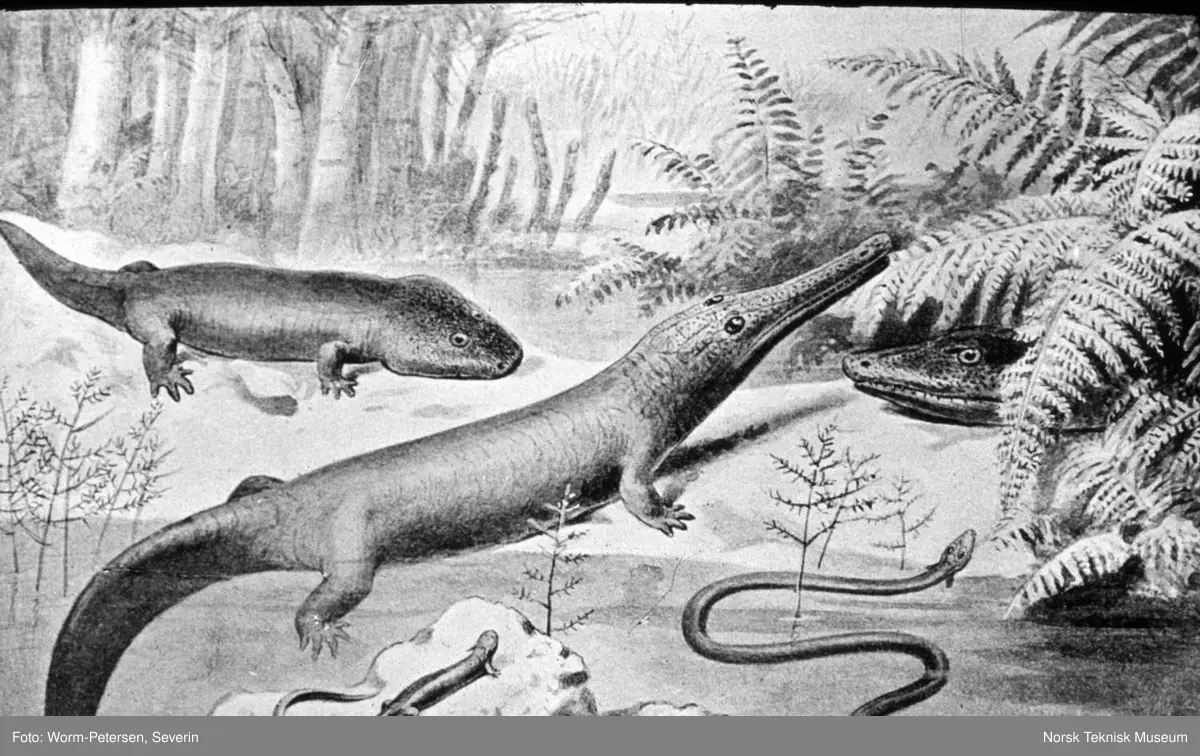 Ideel Flodscene med Amfibier i Kulperioden - Norsk Teknisk Museum ...