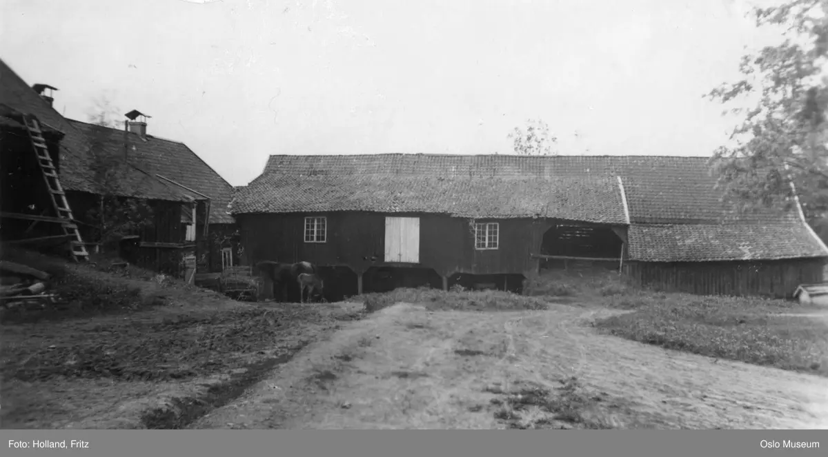 Disen gård. - Oslo Museum / DigitaltMuseum