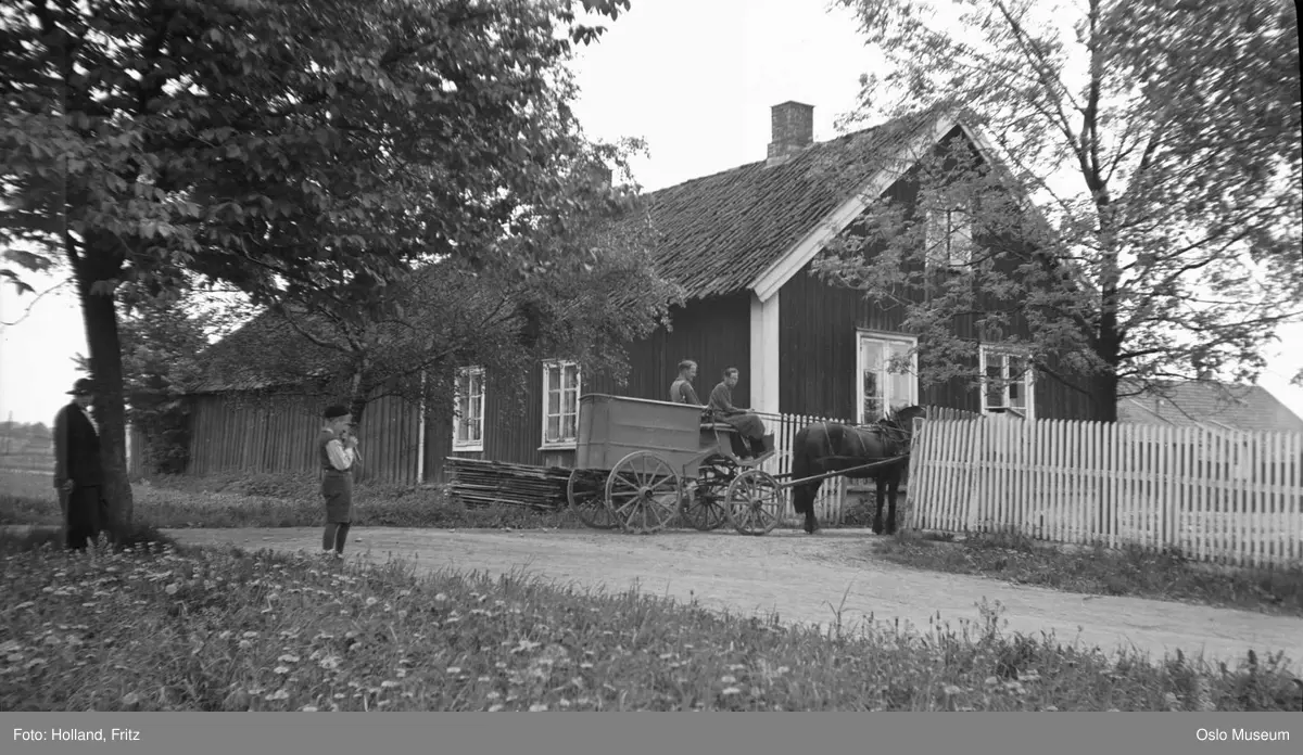 Disen gård. - Oslo Museum / DigitaltMuseum