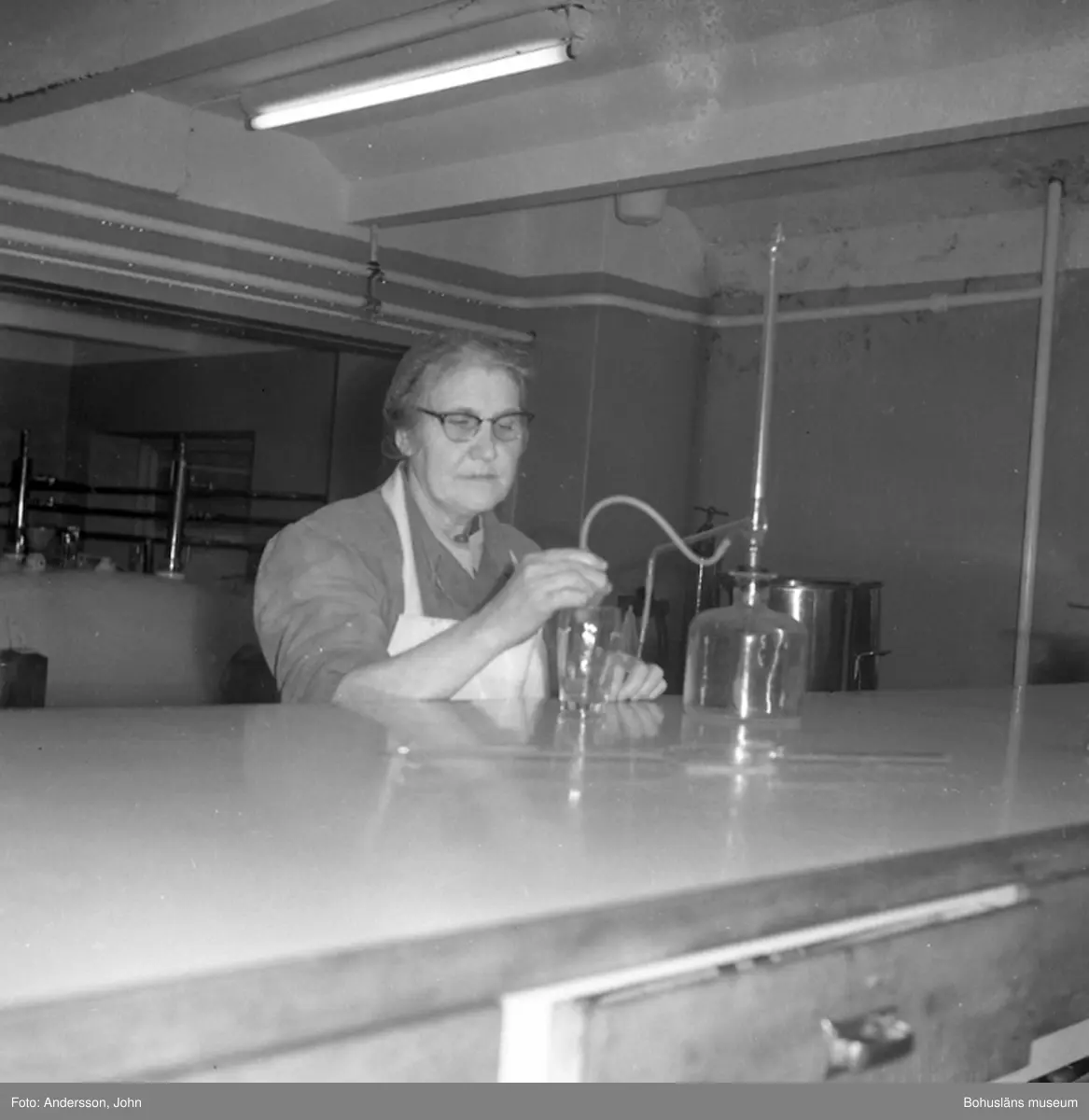 Elsa Brandt i labbet på Utsiktens bryggeri - Bohusläns museum ...