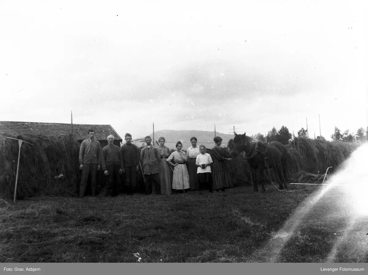 Slåttonn på Bangsund. - Levanger Fotomuseum / DigitaltMuseum