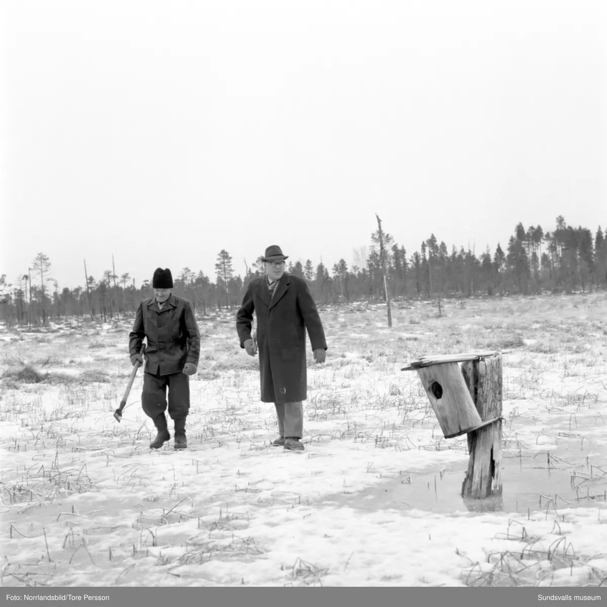 Kommunalkamrer Åke Jonsson och slaktare Axel Lindgren märker ut ...