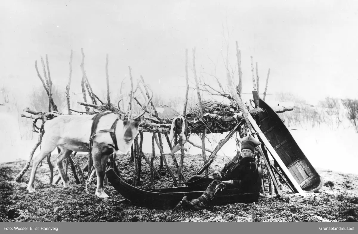 Ole Johnsen Must med sin kjørerein og pulk ved mosekraken på Solheim ...