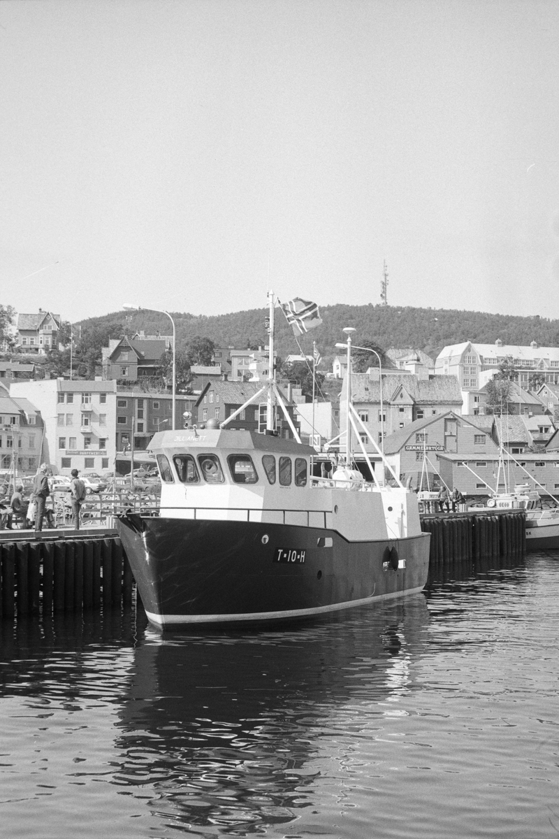"Jill-Anett" ved kai i Harstad. - Sør-Troms Museum / DigitaltMuseum