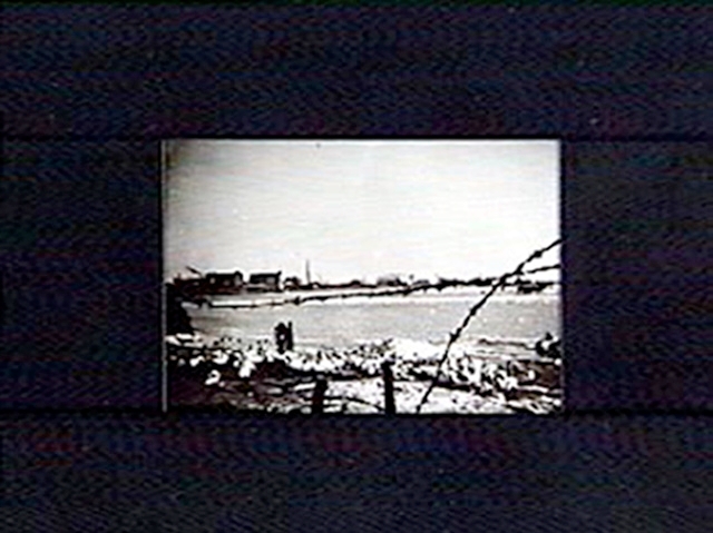 Landskrona hamn 1940-41. Isvinter, svanarna måste matas. Obs ...