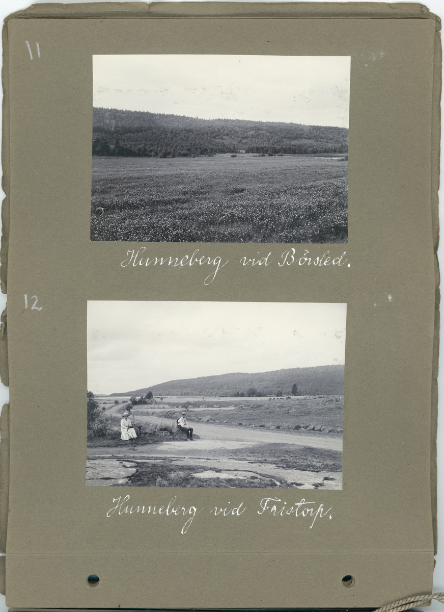 Fotoalbum. "Fröken Anna Ledin, en erinran om sommaren 1911 ...