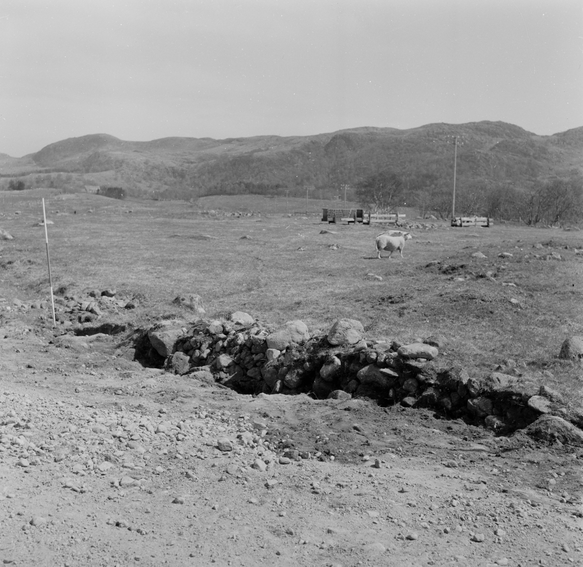 Sæland, Time. - Arkeologisk museum, Universitetet i Stavanger - Foto ...