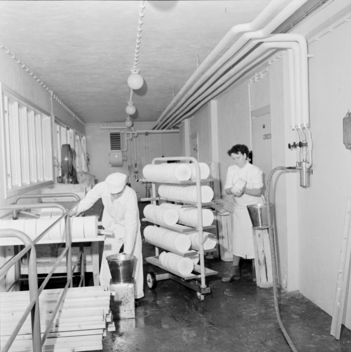 Selbu meieri -#N# Sverresborg Trøndelag Folkemuseum /#N# DigitaltMuseum