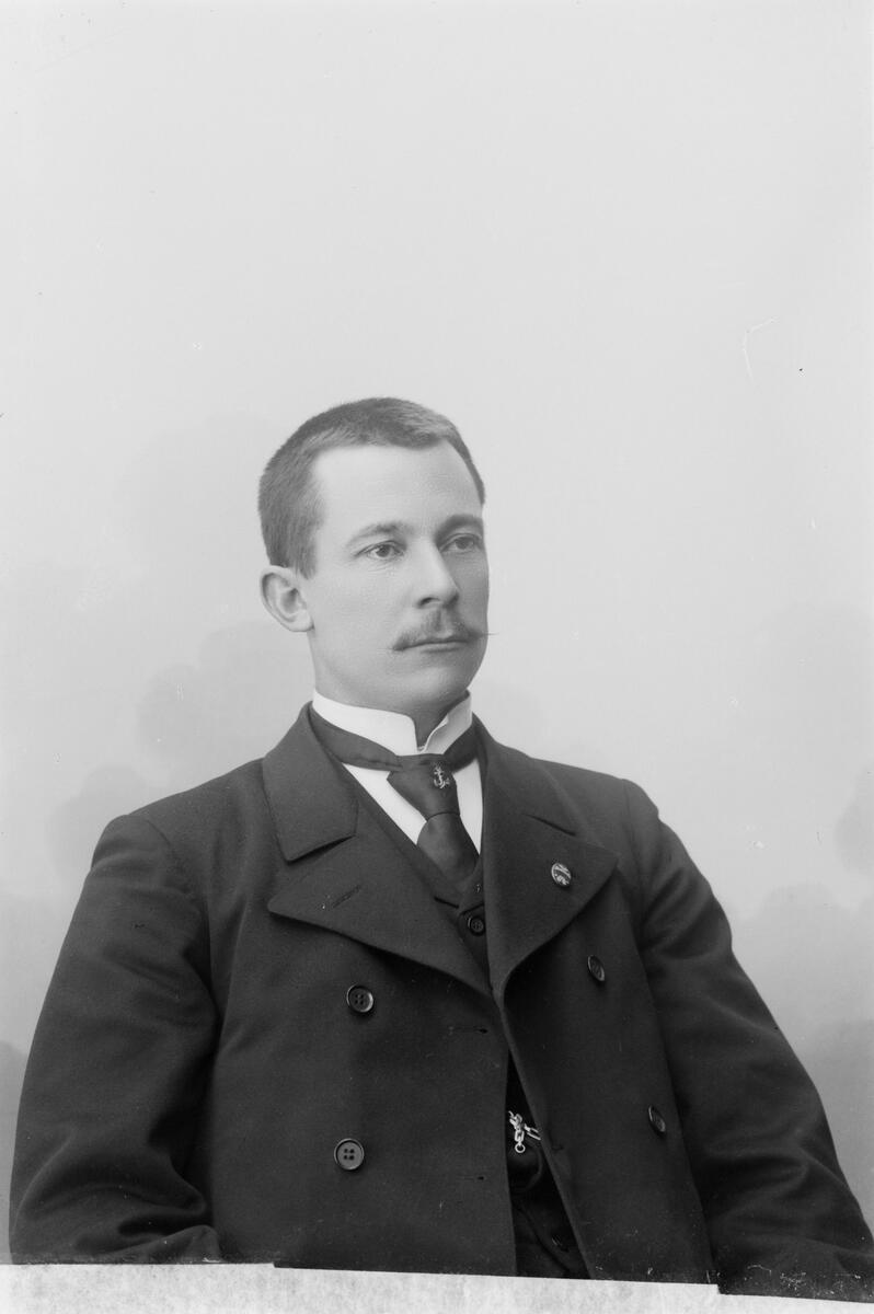 Rudolf Nyström; Ingår i porträttsamlingen från Knut Wallins ateljé ...