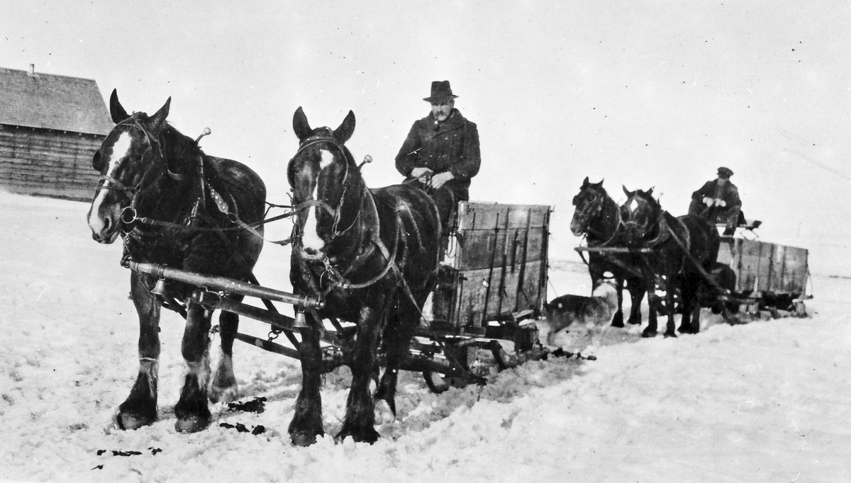 Menn med hest og slede - Anno Musea i Nord-Østerdalen / DigitaltMuseum