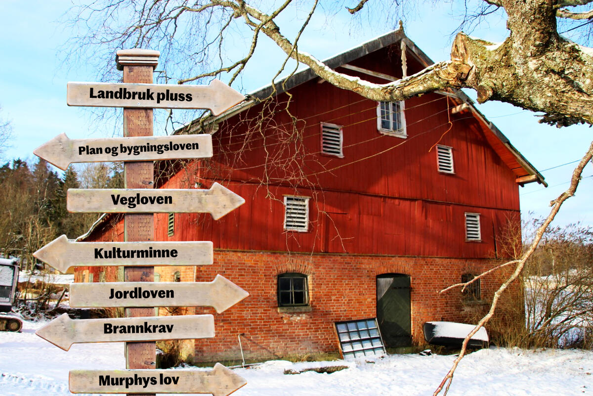 Hva kan kommunen bruke oss til?