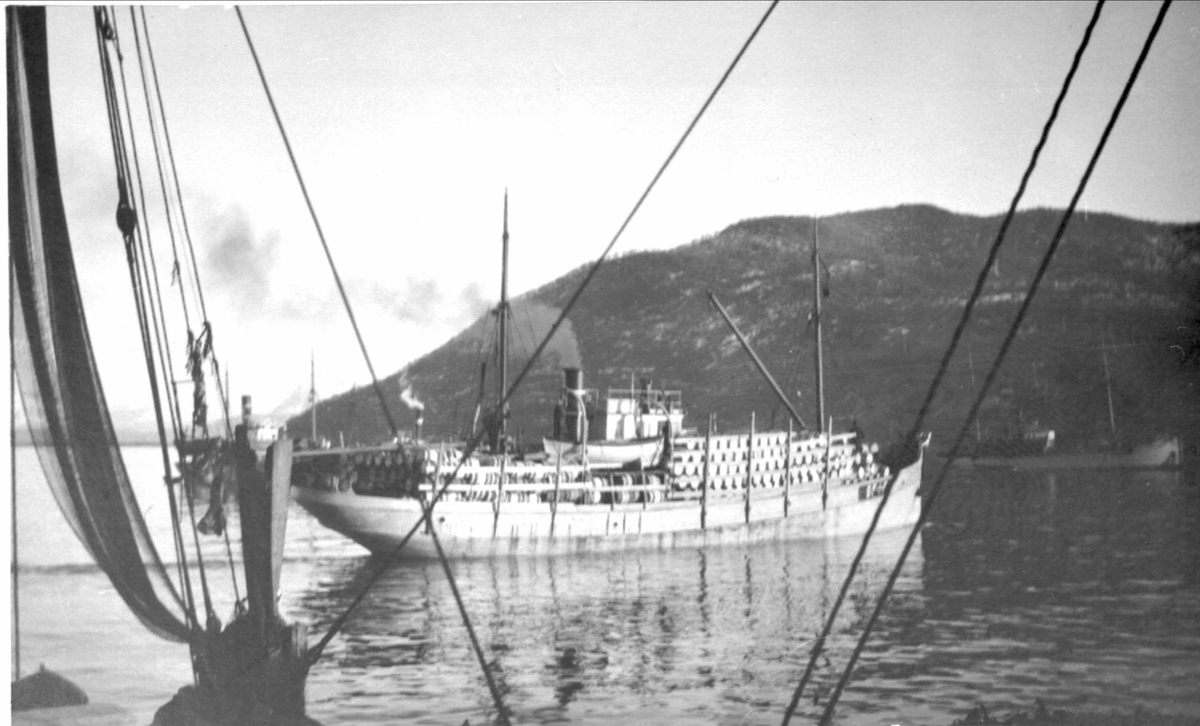 Dampskip fullastet med tønner på Harstad havn. Gangsås i bakgrunnen ...