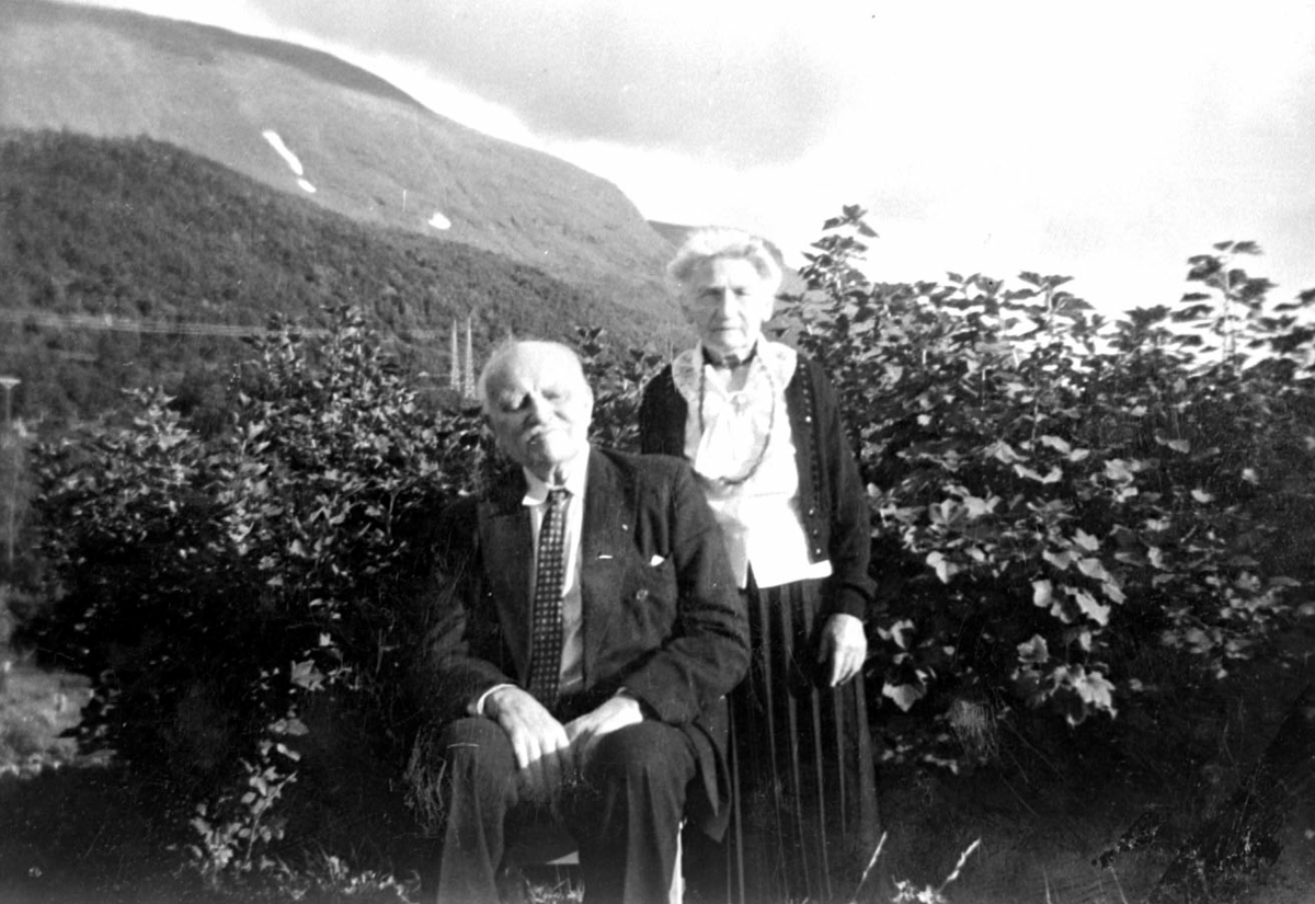 Gullbrudepar Olava og Morten Johansen - Midt-Troms Museum / DigitaltMuseum