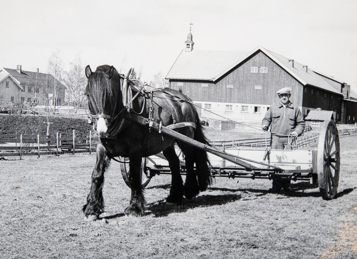 Bilde fra Vevla gård i Ottestad. Gårdsarbeider Eivind Hagen (1901-1990 ...