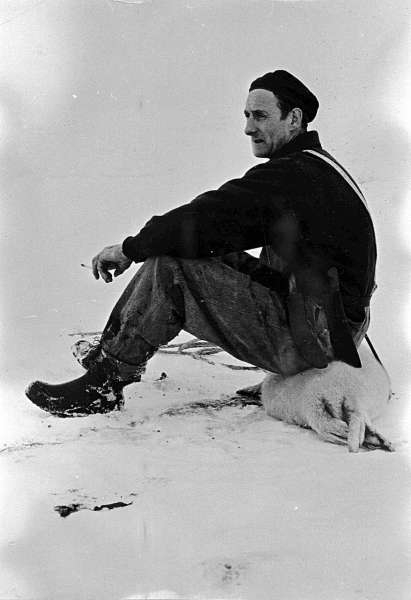 Simon Riise med sel - Midt-Troms Museum / DigitaltMuseum