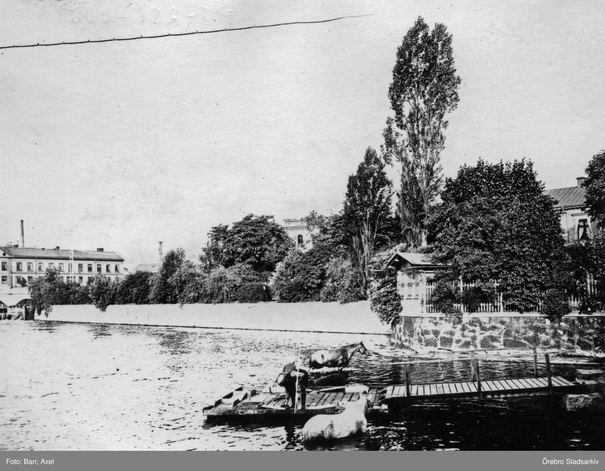 Bad av hästar vid klappbryggan, 1880-tal - Örebro Stadsarkiv ...