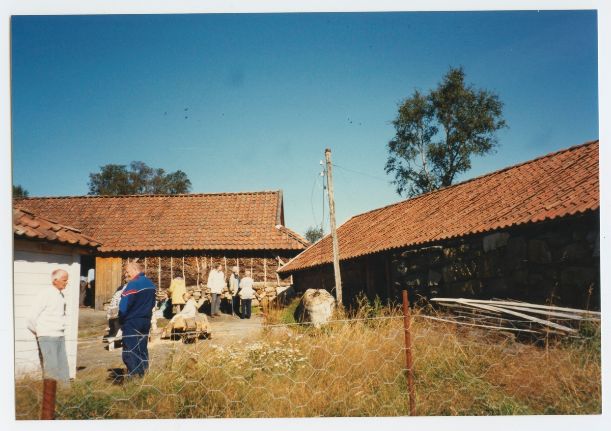 Øen i Helleland - Dalane Folkemuseum / DigitaltMuseum