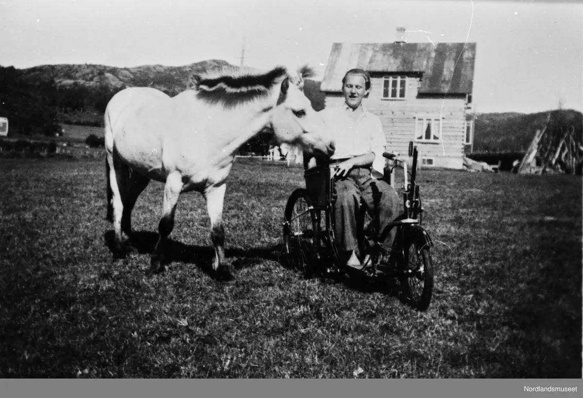 Johan Sevaldsen og hesten. - Nordlandsmuseet / DigitaltMuseum