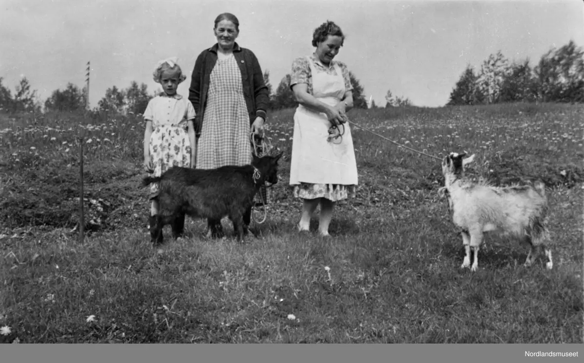 Bilde fra Kvarv. Fra venstre: Kirsten Didriksen, Anna Knutsen og Ingrid ...