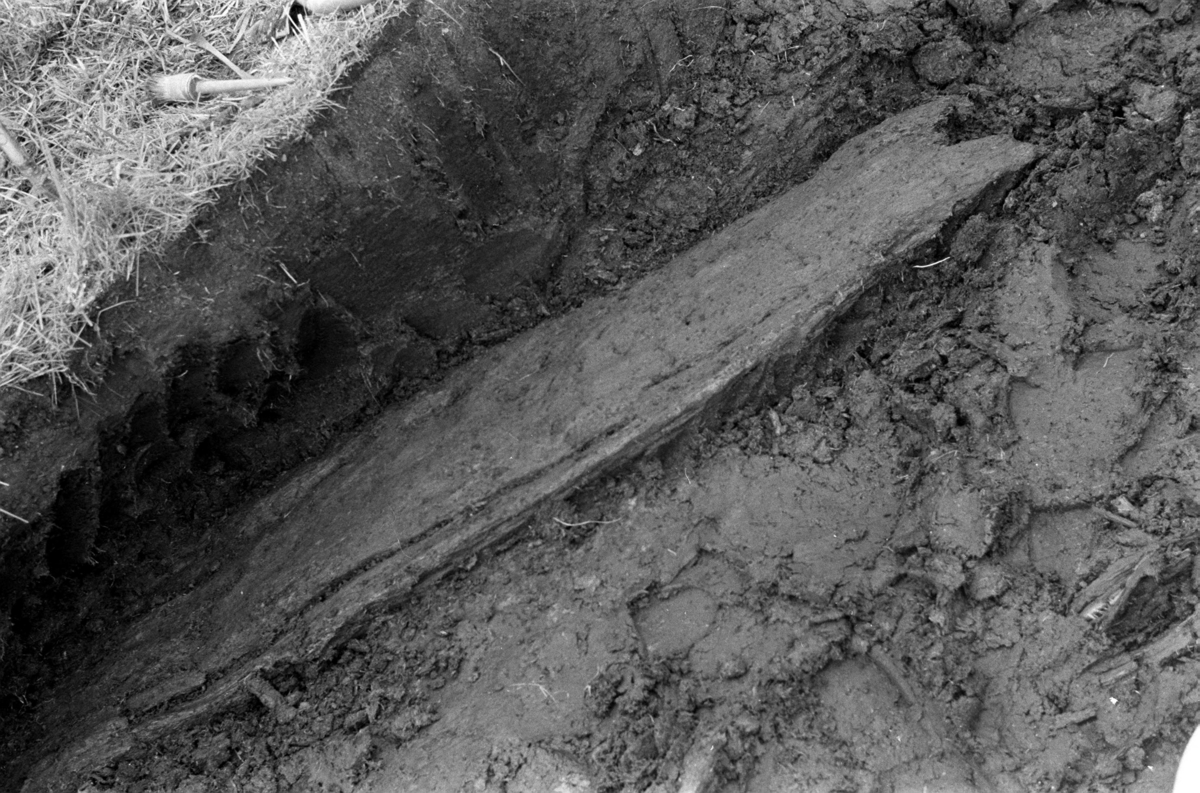 Vinnes, Strandvik sogn, Fusa prestegjeld. Arkeologisk undersøkelse på ...