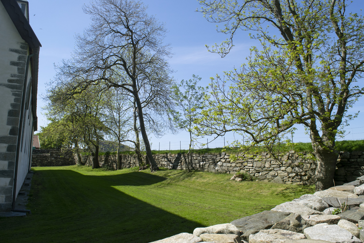 Trær rundt Utstein Kloster. - Arkeologisk museum, Universitetet i ...