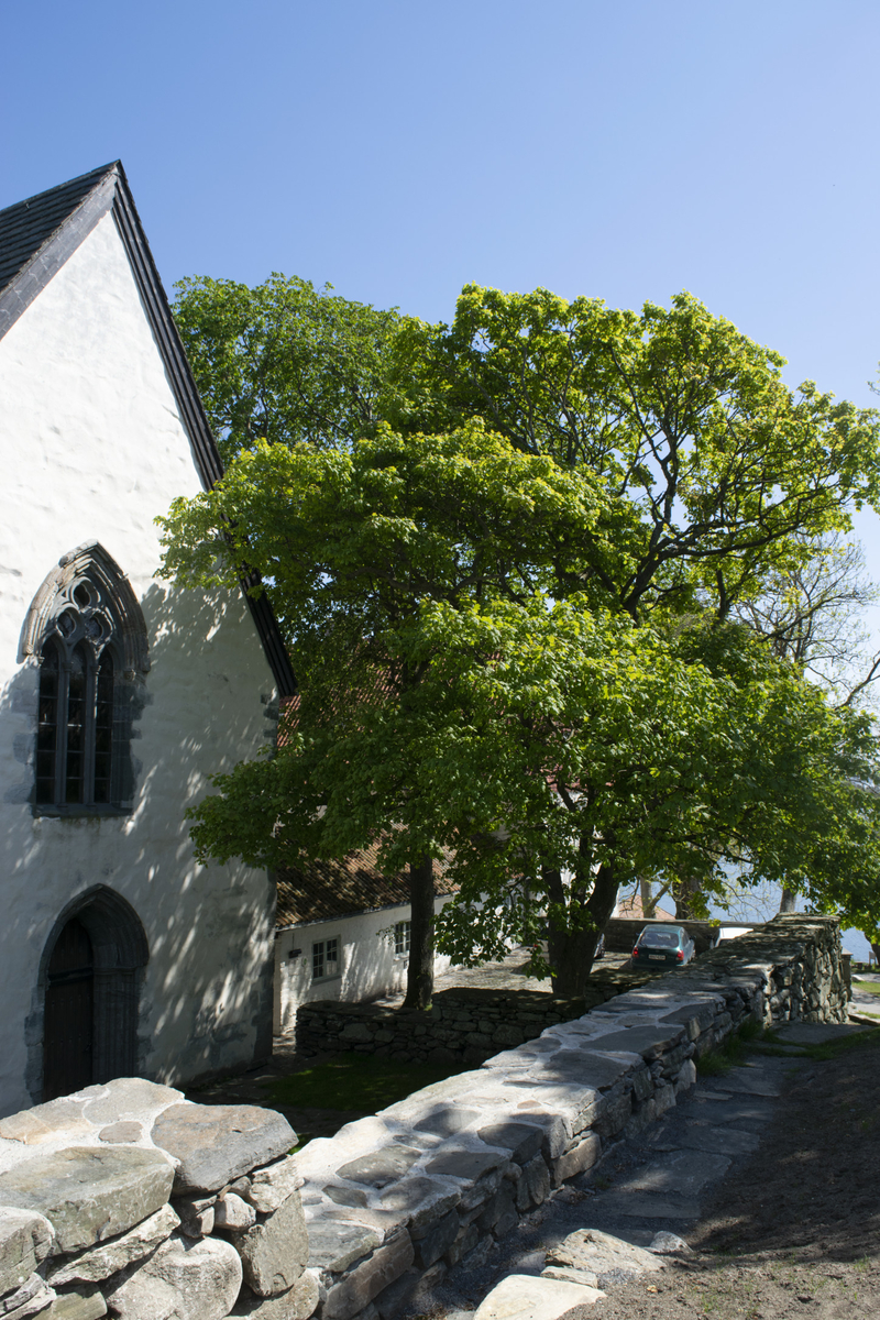 Trær rundt Utstein Kloster. - Arkeologisk museum, Universitetet i ...