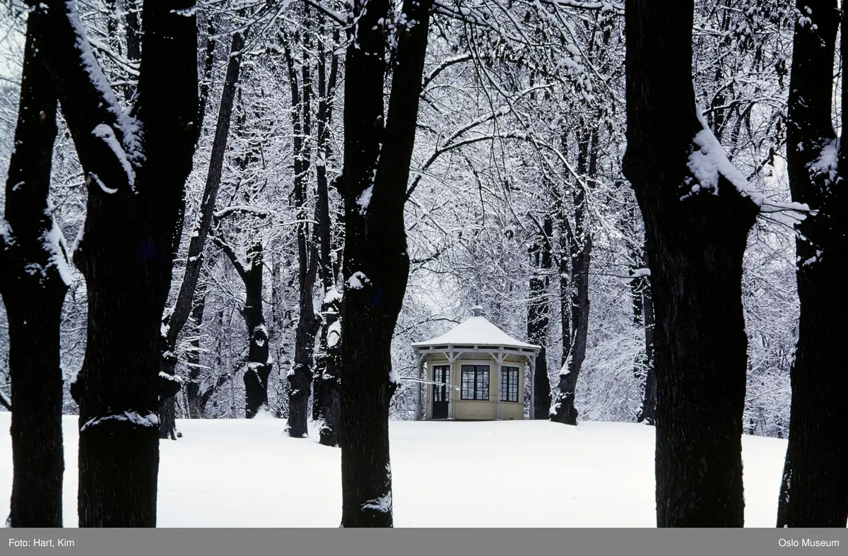 Vinter i Dronningparken. - Oslo Museum / DigitaltMuseum