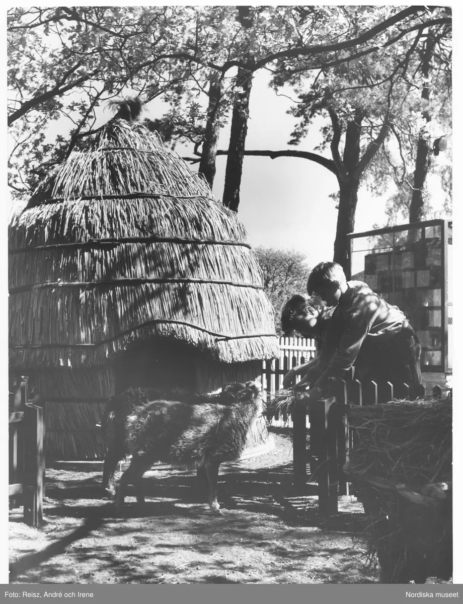 Stockholm. Barn på Skansen. Lill-Skansen. - Nordiska museet ...