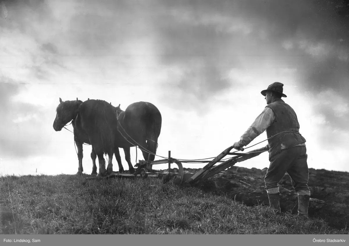 Man höstplöjer med plog och två hästar, 1930-tal - Örebro Stadsarkiv ...