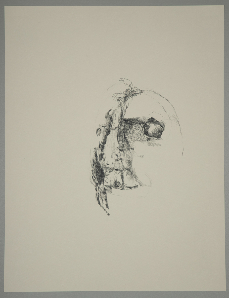 Fantomsamtaler med Steinaldermannen av Lars Tiller [Rominstallasjon] - Trondheim kunstmuseum ...