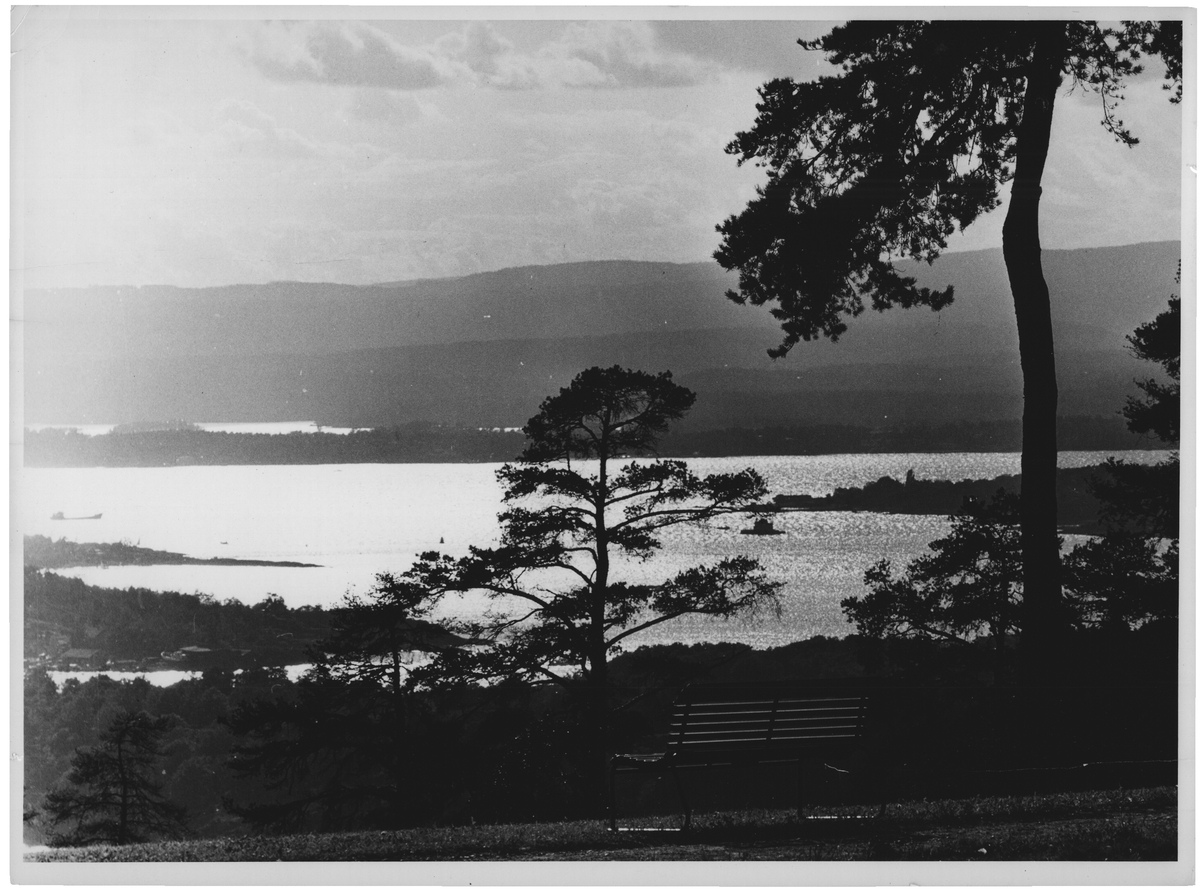 Oslofjorden fra Ekeberg. - DEXTRA Photo / DigitaltMuseum