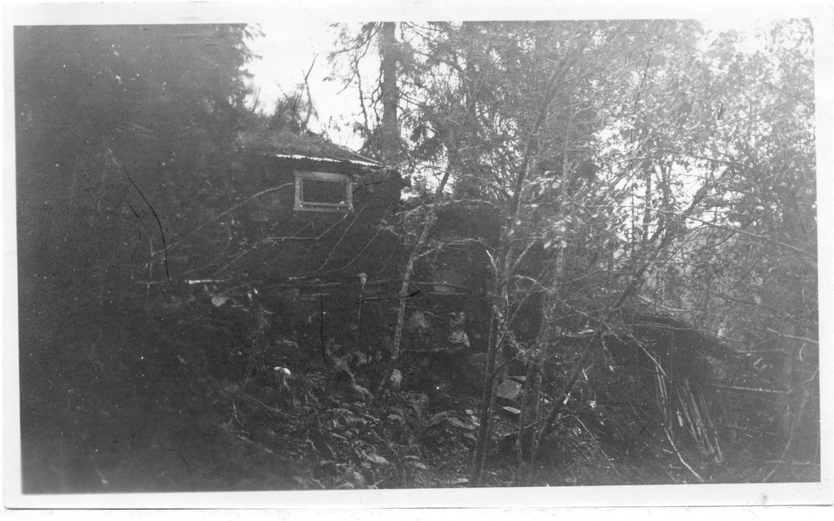 Cellehytte på Vestskogen, Skoger. 2. verdenskrig - Drammens Museum ...