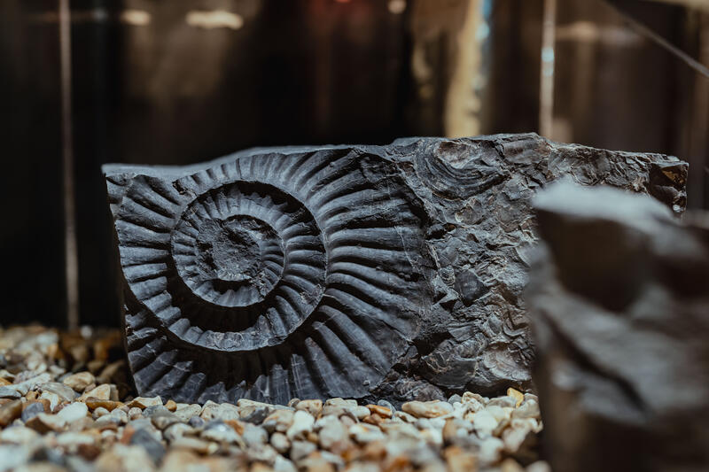 Om Svalbard museum - Svalbard Museum