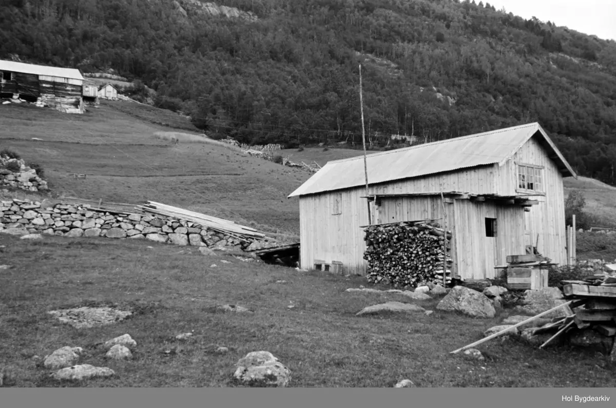 Gardsbruk, låve, vedstabl, innmark, uthus - Hol Bygdearkiv / DigitaltMuseum