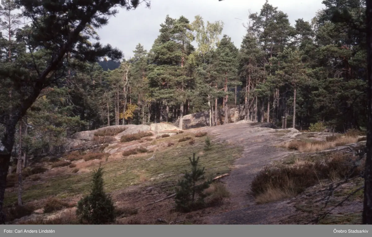 Trollkyrkoberget i Stora Trollkyrka, Tivedens Nationalpark, 1980 ...