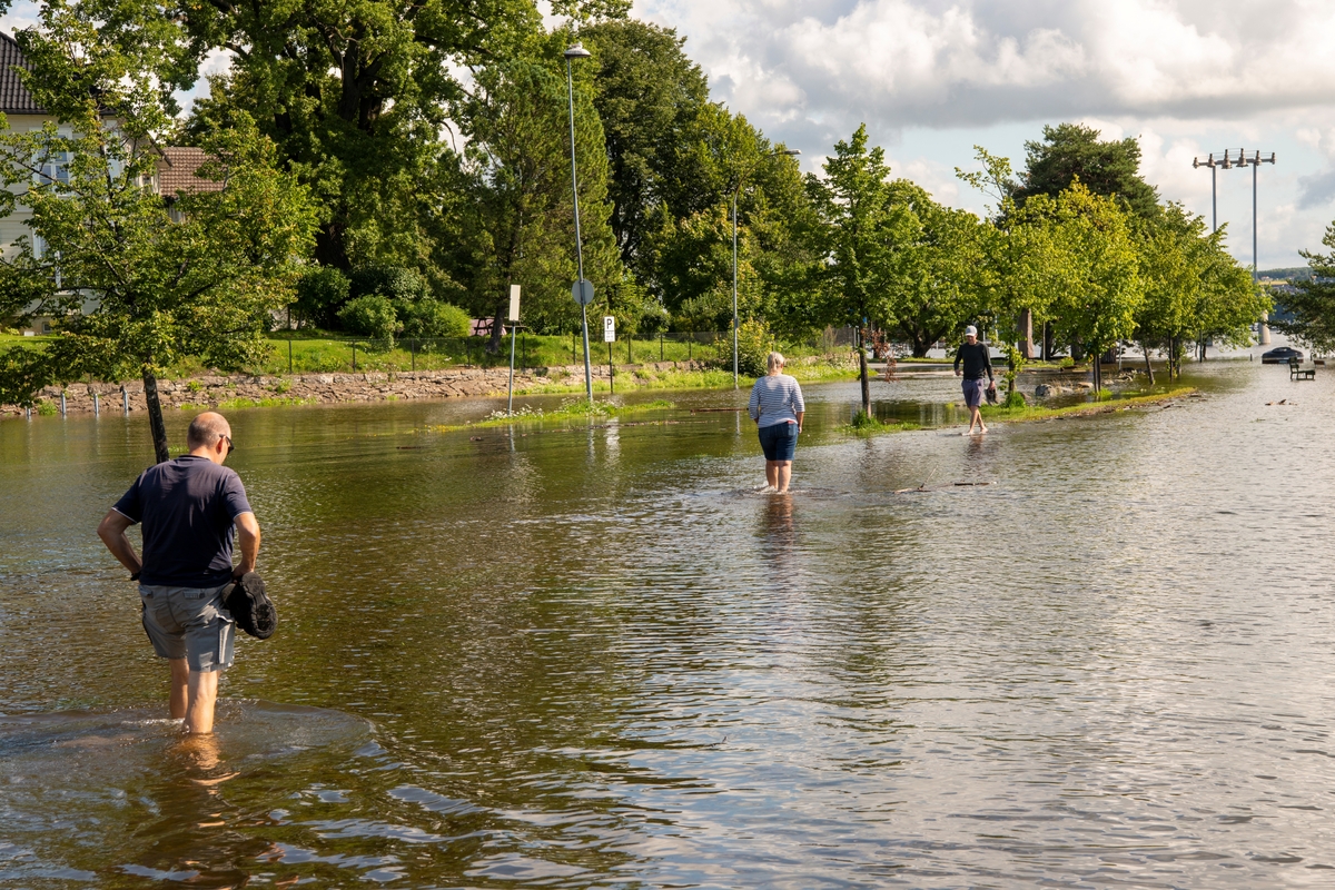 Flom i Mjøsa sommeren 2023. Mjøsflom. Flom 2023. Hamar sentrum ...