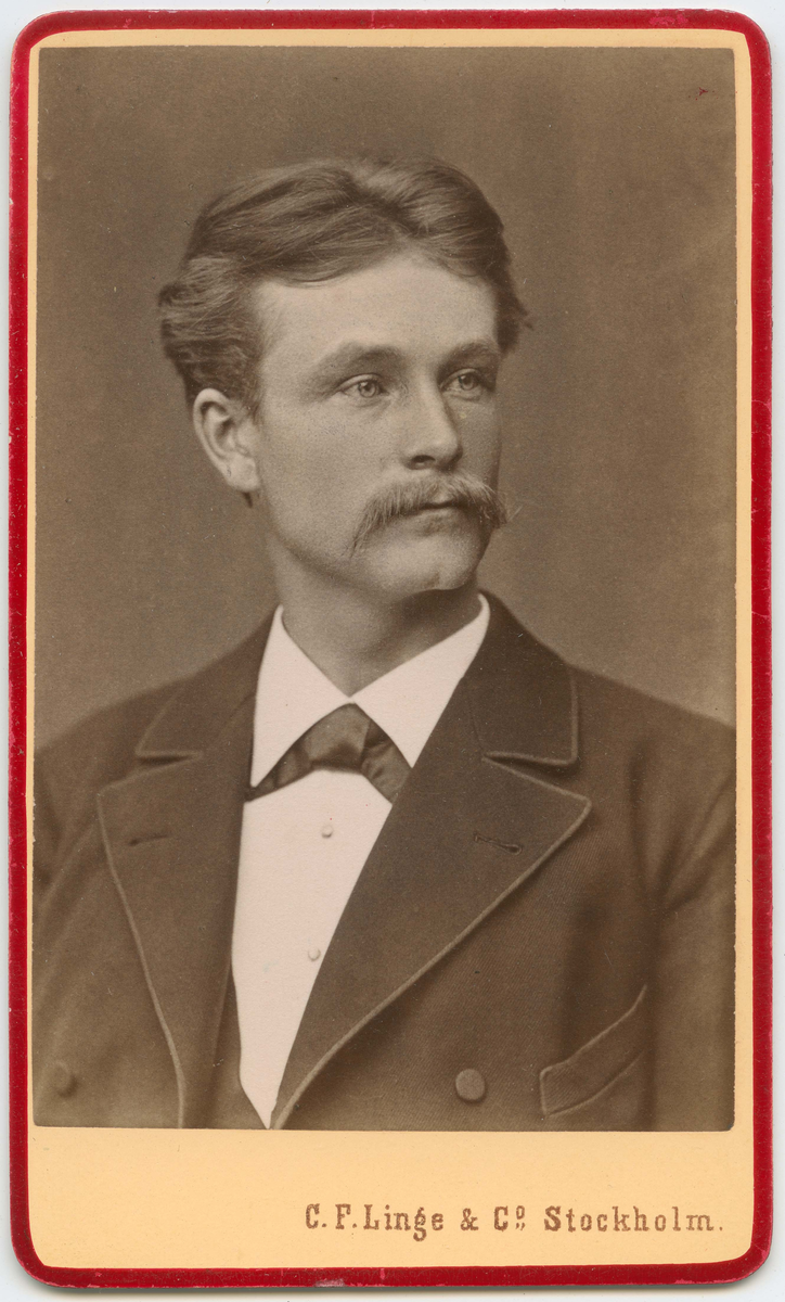 Porträtt på Johan Theodor Lundberg 1852-1926, han var skulptör ...