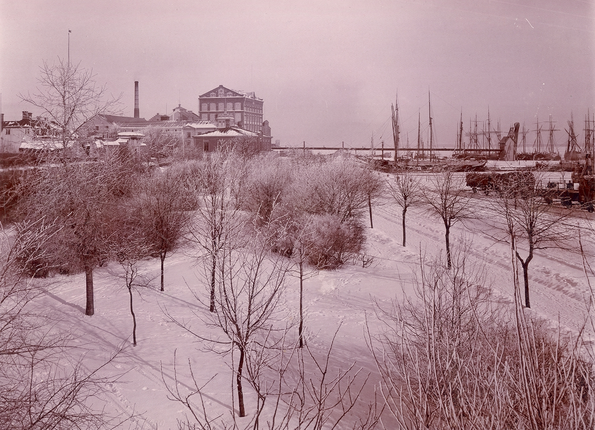 Kalmar hamn. - Kalmar läns museum / DigitaltMuseum