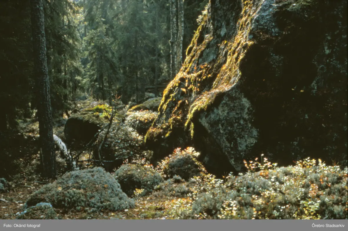 Längs Bergslagsleden finns många flyttblock som den på bilden, 1980-tal ...