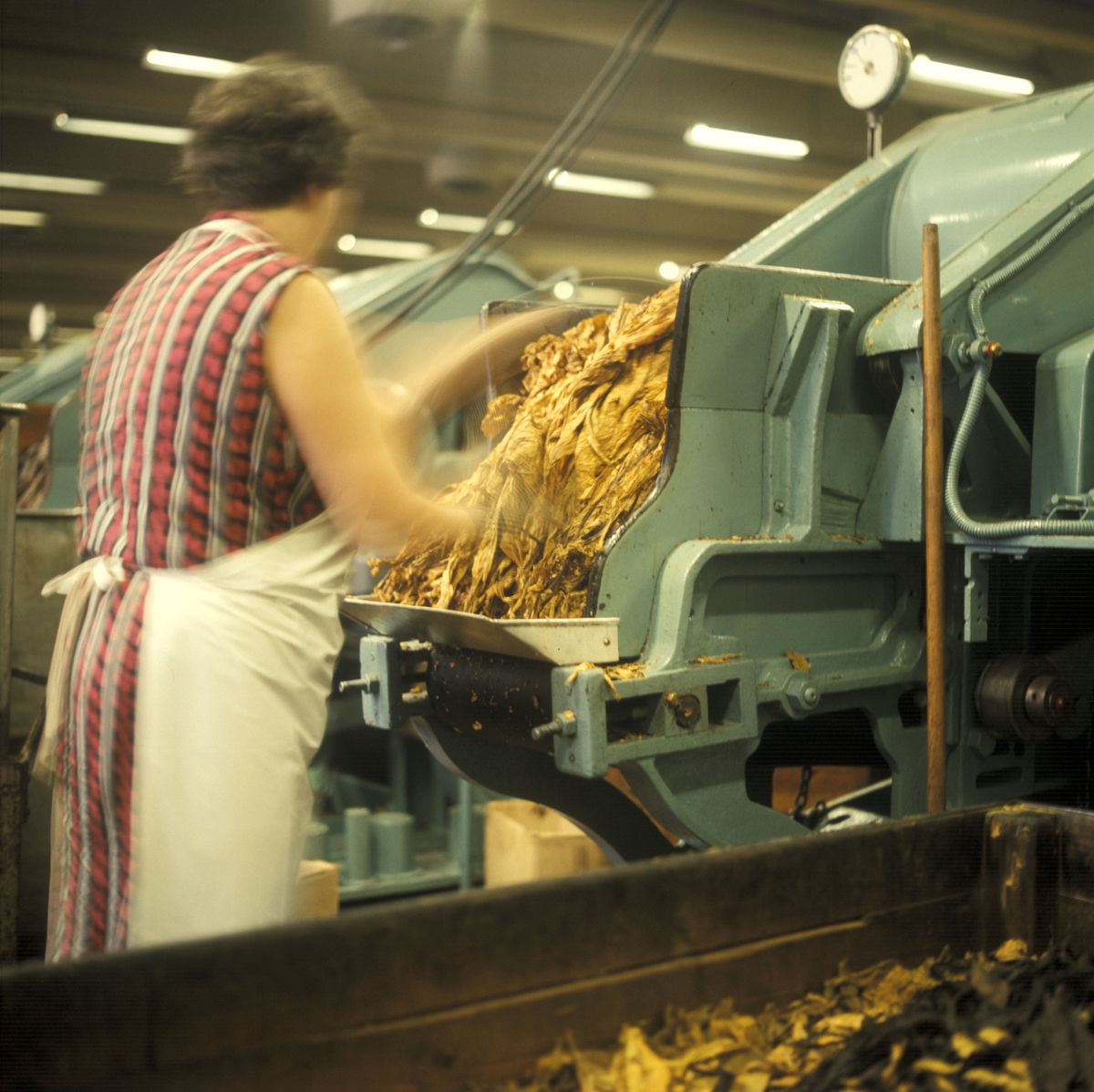 Fabrikkinteriør. Opplegg for giljotin skjærmaskin. Trolig Teddy ...