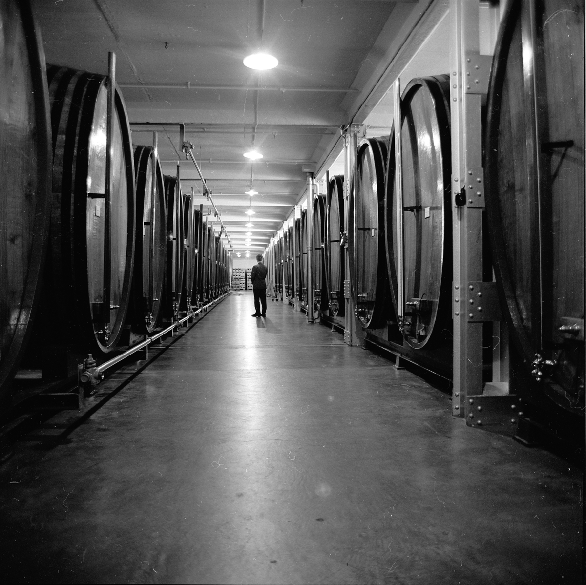 Hasle, Oslo, desember 1963. Vinmonopolet. Hall med tønner. - Norsk ...