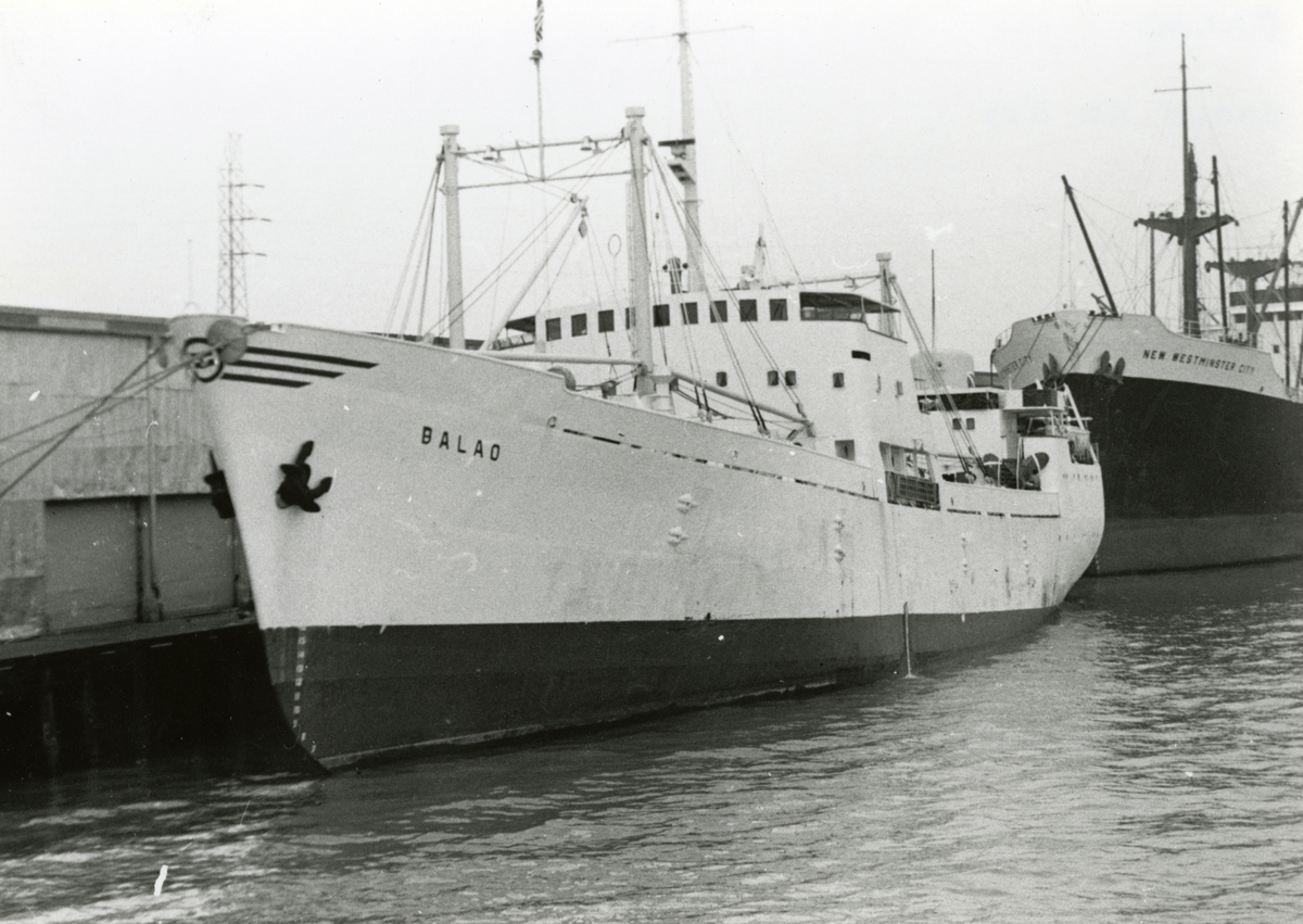 M/S 'Balao' (b.1952, Drammen Slip & Verksted, Drammen), - ved kai ...