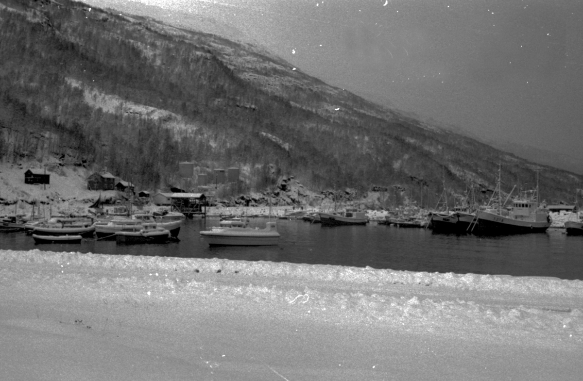 Hamne - Nord-Troms Museum / DigitaltMuseum