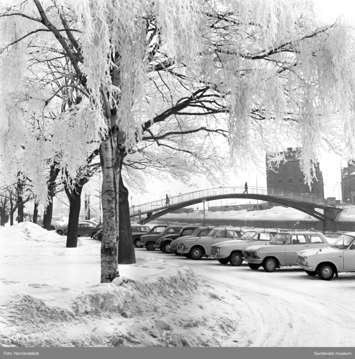 Vackra, frostiga vinterbilder från Sundsvall. Bland annat gamla ...