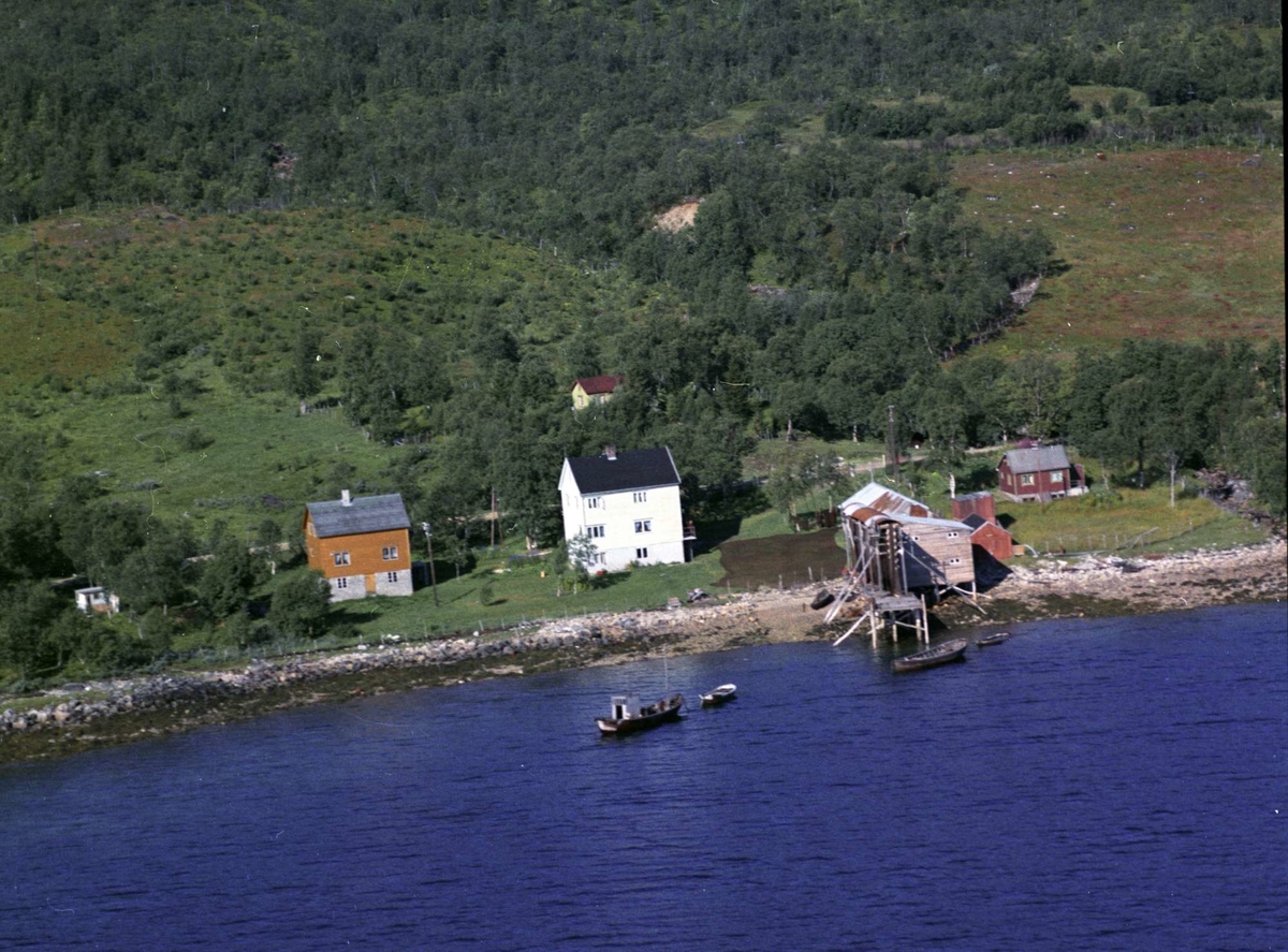 Flyfoto av Skjærstad. - Sør-Troms Museum / DigitaltMuseum