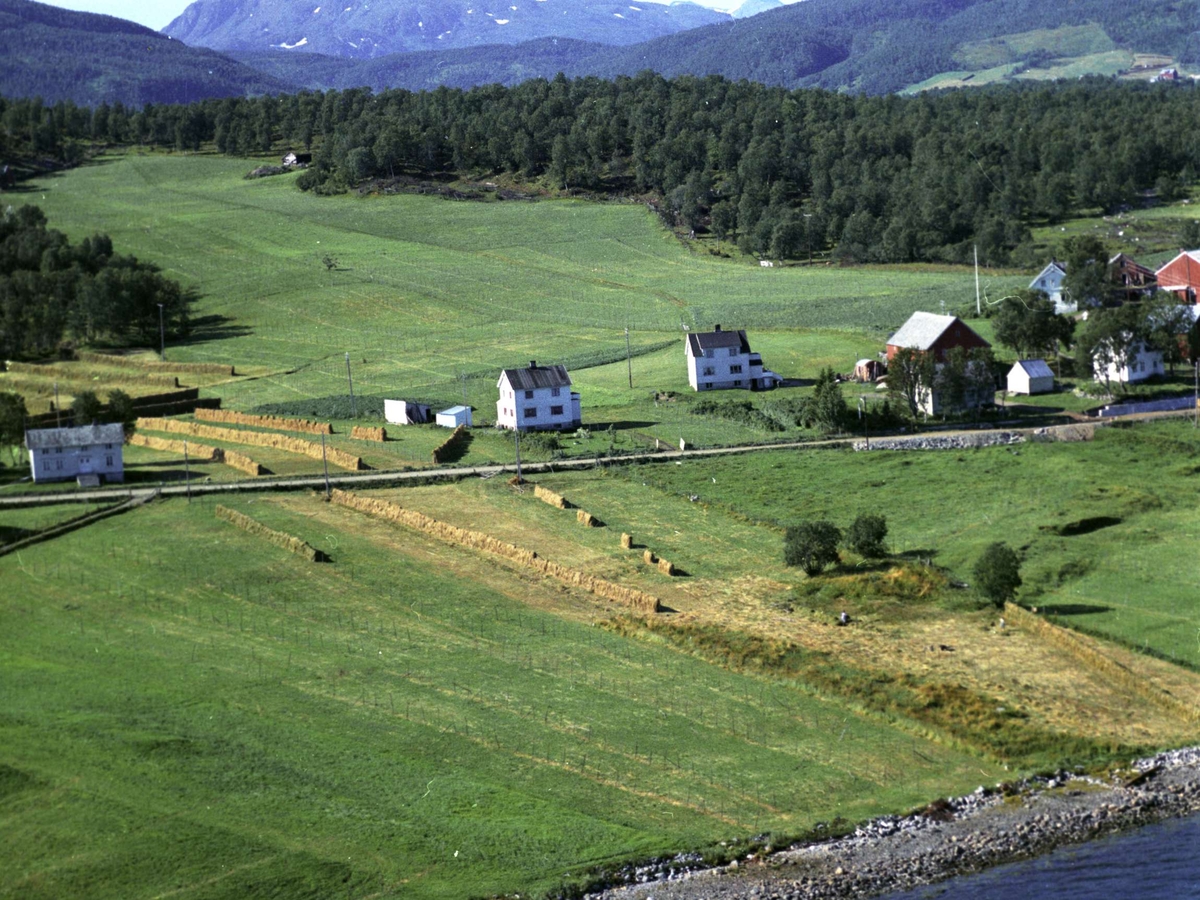 Flyfoto av noen hus og gårder ved skog og fjell i Halsebø. - Sør-Troms ...