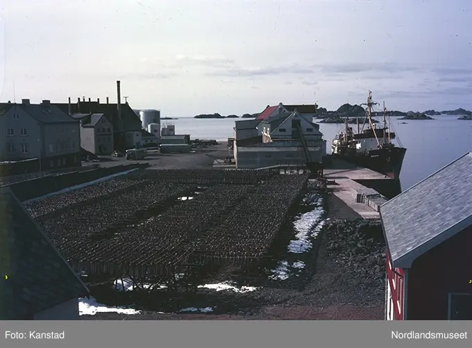 Kai, fiskehjeller, fisk, skip - Nordlandsmuseet / DigitaltMuseum