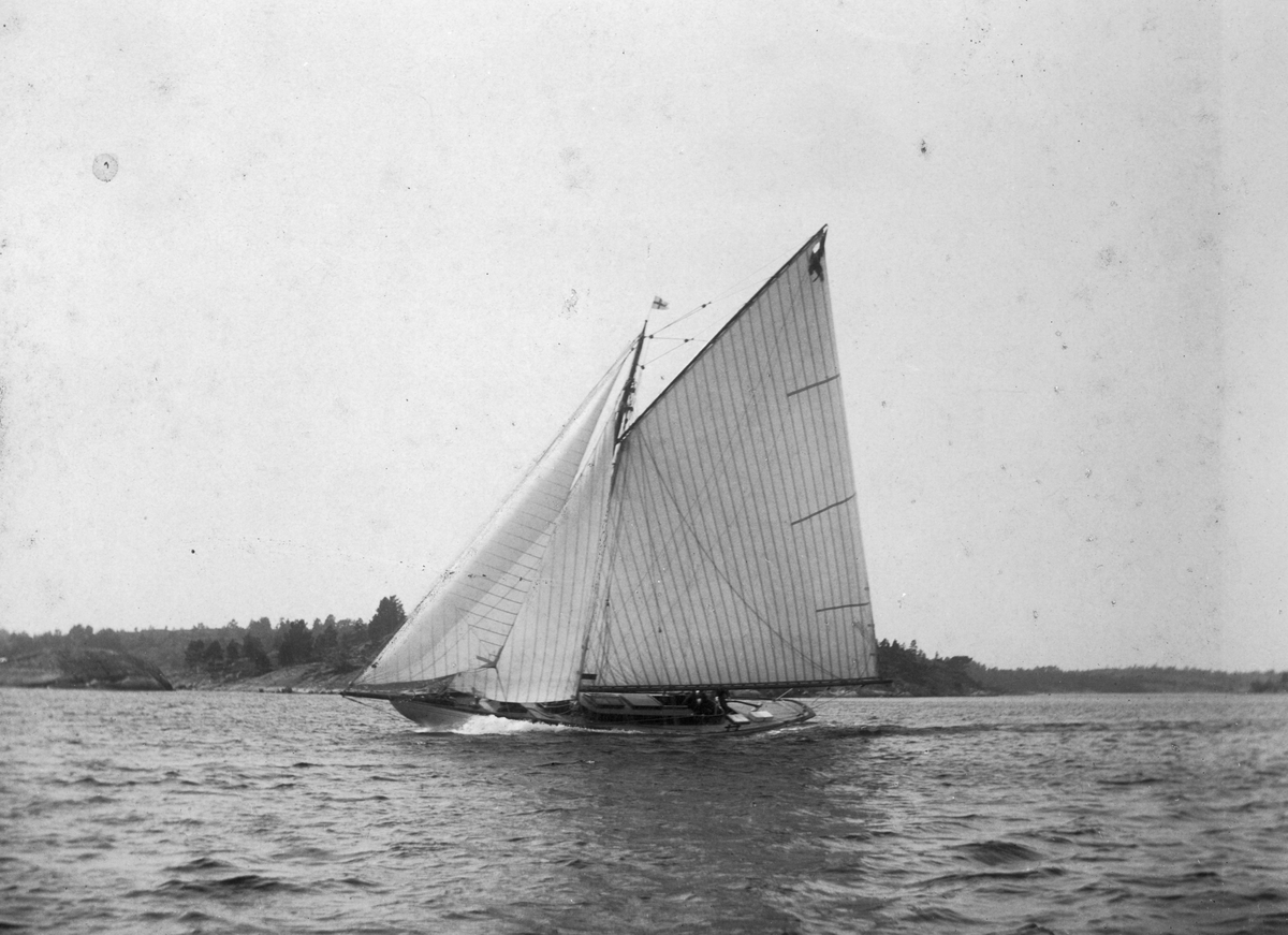 ALCA (1896) - DigitaltMuseum