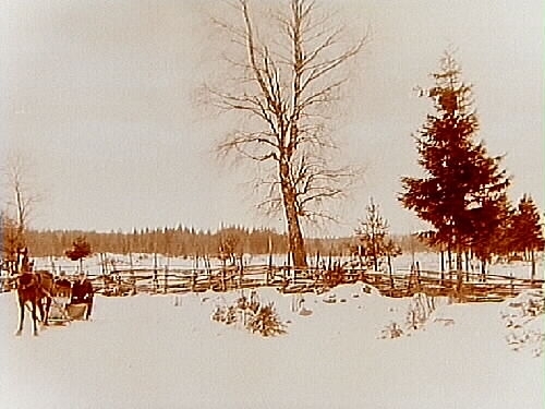 Gärdesgård. Carl G. Carlsson - Örebro läns museum / DigitaltMuseum
